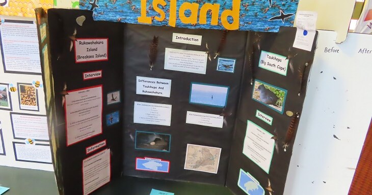 Some entries from the 2023 fair. • Southland Social Sciences Fair